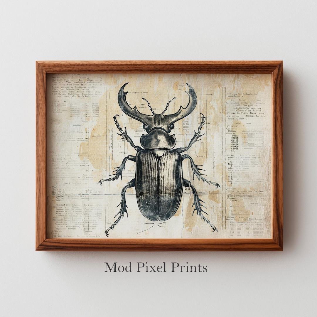 Vintage Stag Beetle Art - Rustic Scientific Print, Moody Neutral Decor ...