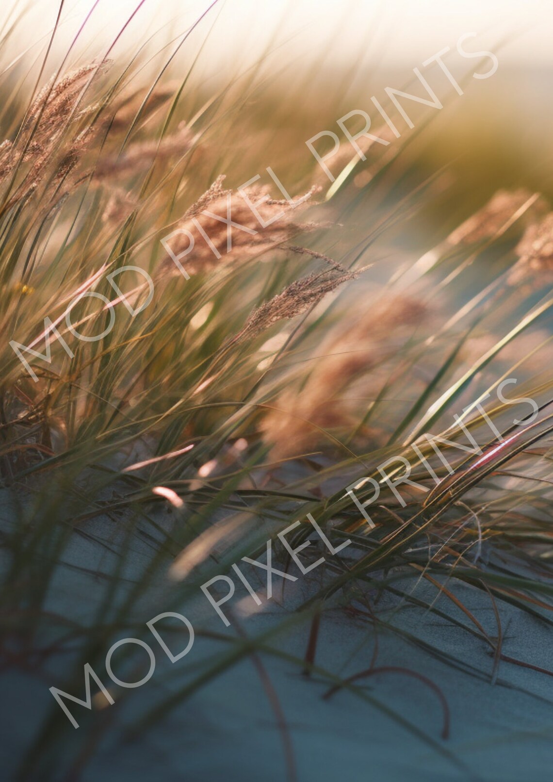 Beach Grass Digital TV Art coastal Art for Tv Beach Grass Art Samsung ...