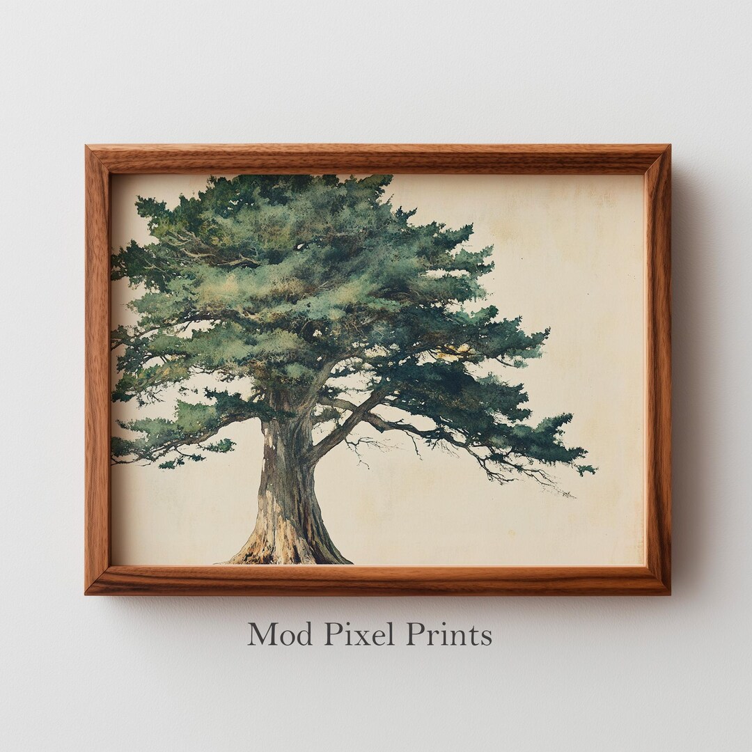 Vintage Cypress Tree Botanical Art - Rustic Farmhouse Vintage Wall Art ...