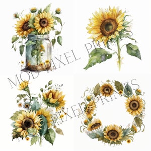 Watercolor Sunflowers Clipart - Fall Sunflower Floral Bouquets in PNG ...