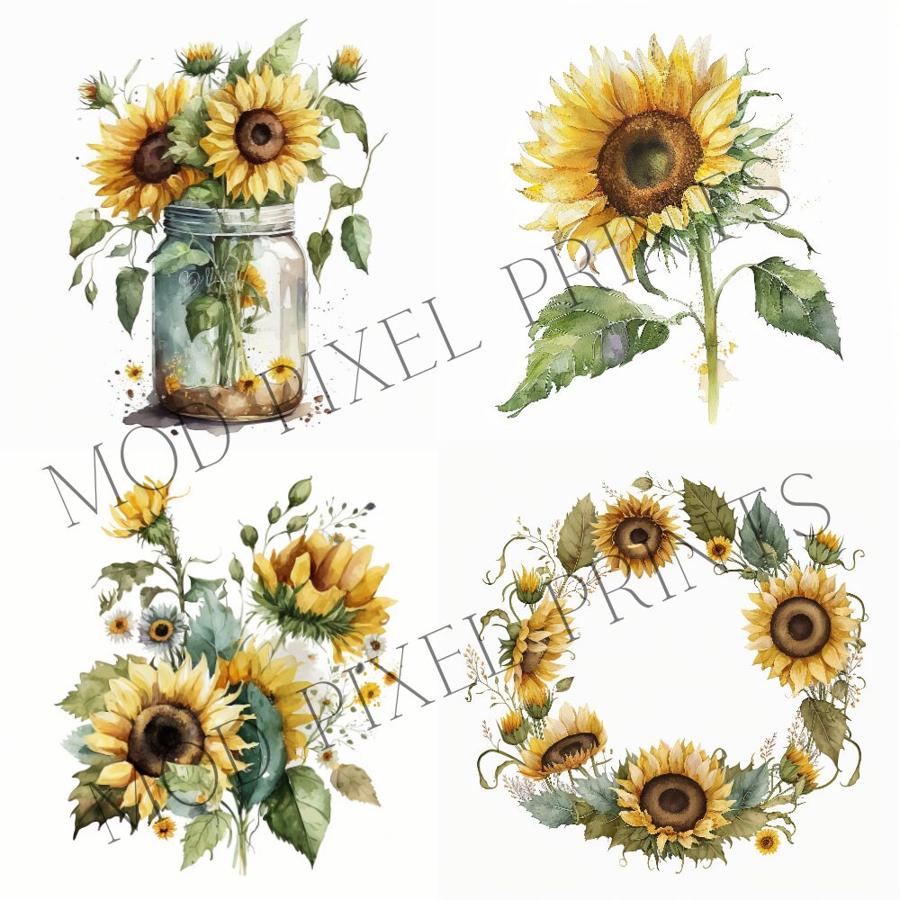 Watercolor Sunflowers Clipart Fall Sunflower Floral Bouquets in PNG ...