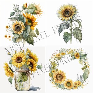 Watercolor Sunflowers Clipart - Fall Sunflower Floral Bouquets in PNG ...