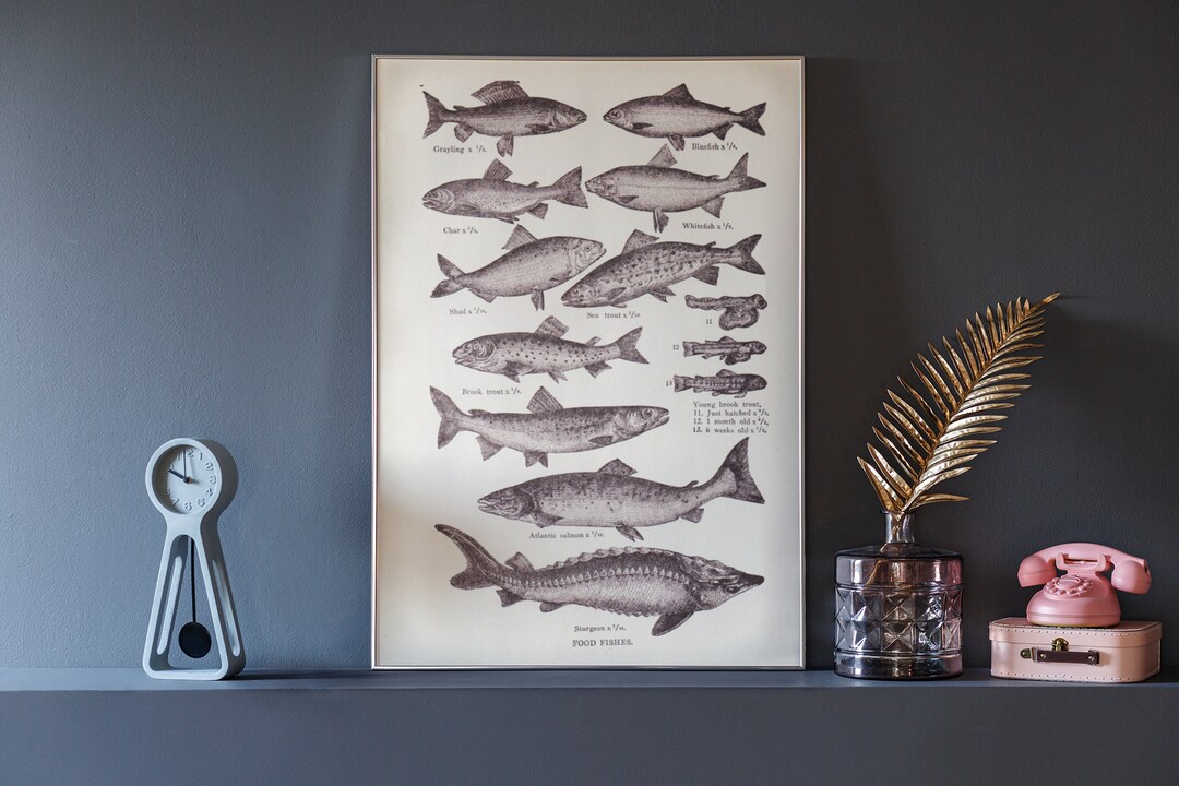 Vintage Fish Wall Art Digital Download Rustic Farmhouse Decor Fishing ...