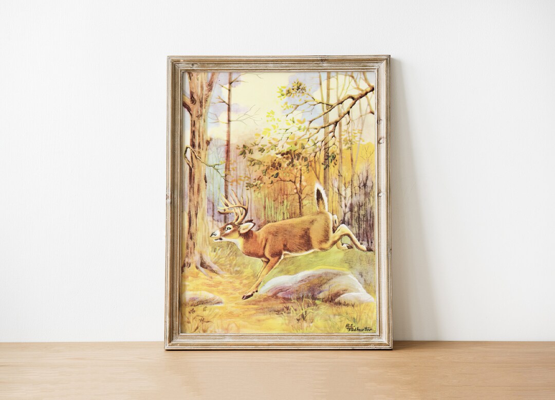 Vintage Whitetail Deer Print: Rustic Farmhouse Wall Art (digital ...