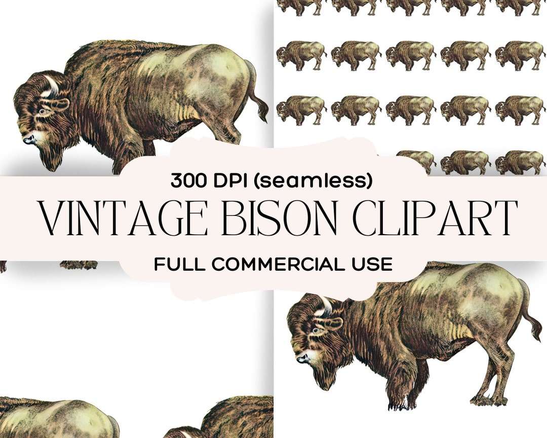 Vintage Bison Clipart With Commercial Use, Bison Print, Bison Buffalo ...