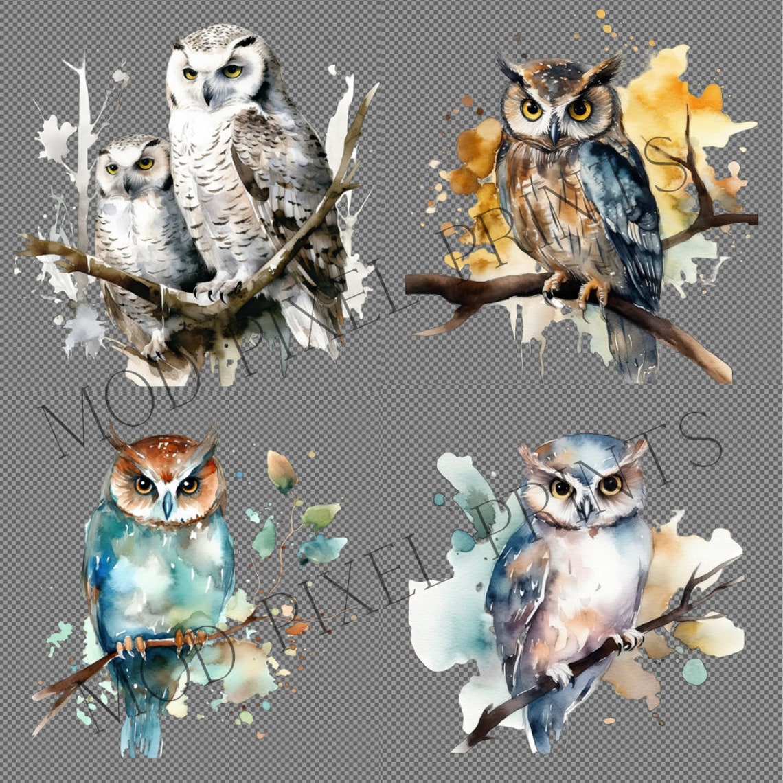 Watercolor Owl Clipart Owl PNG Cute Baby Owl Clipart - Etsy