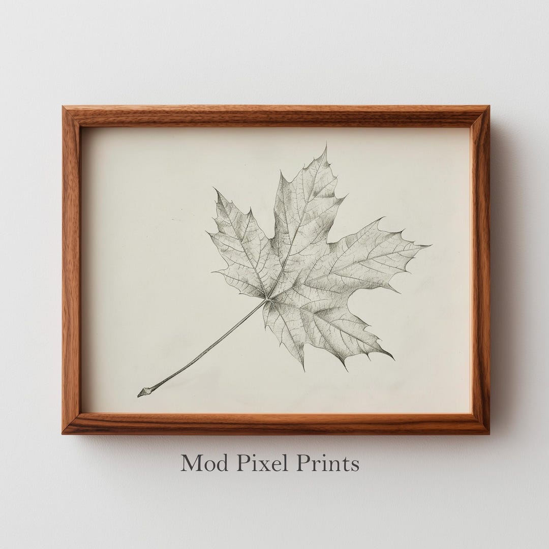 Vintage Printable Maple Leaf Drawing - Detailed Graphite Sketch ...