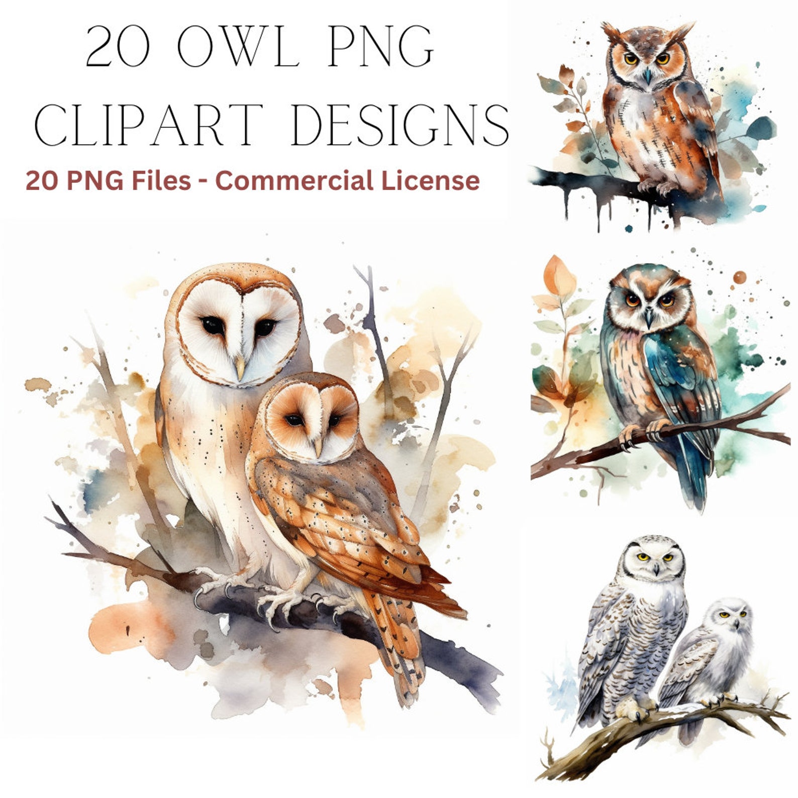 Watercolor Owl Clipart, Owl PNG, Cute Baby Owl Clipart, Woodland Animal ...