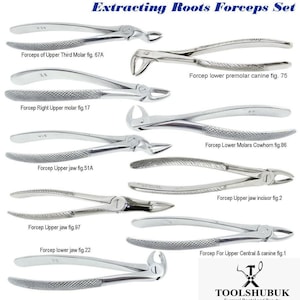 Dental Extraction Forceps Set: Stainless Steel Oral Surgery Pliers (10 ...