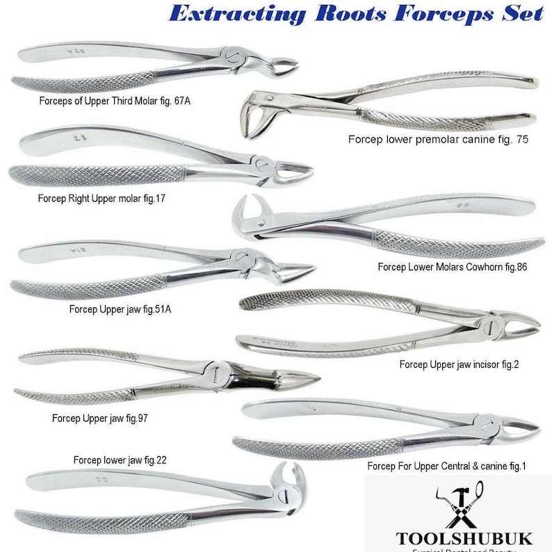 Dental Extraction Forceps Set: Stainless Steel Oral Surgery Pliers (10-piece) - Etsy