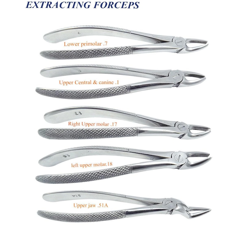 Dental Extraction Forceps Set: Stainless Steel Oral Surgery Pliers (10 ...