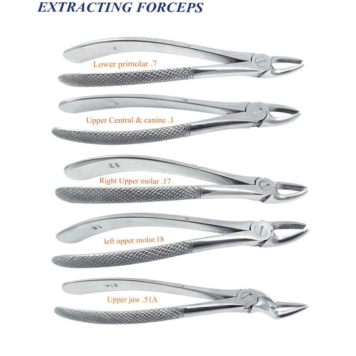 10-piece Dental Tooth Extraction Forceps Set for Upper & Lower Molars ...