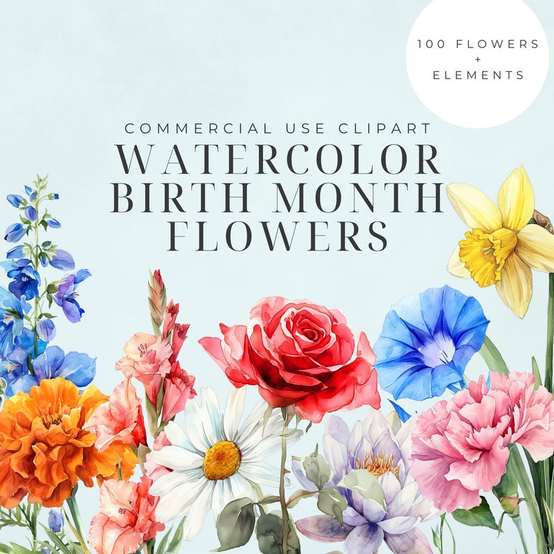 Birth Month Flower Clipart, Watercolor Floral PNG Bundle, DIY Birth ...