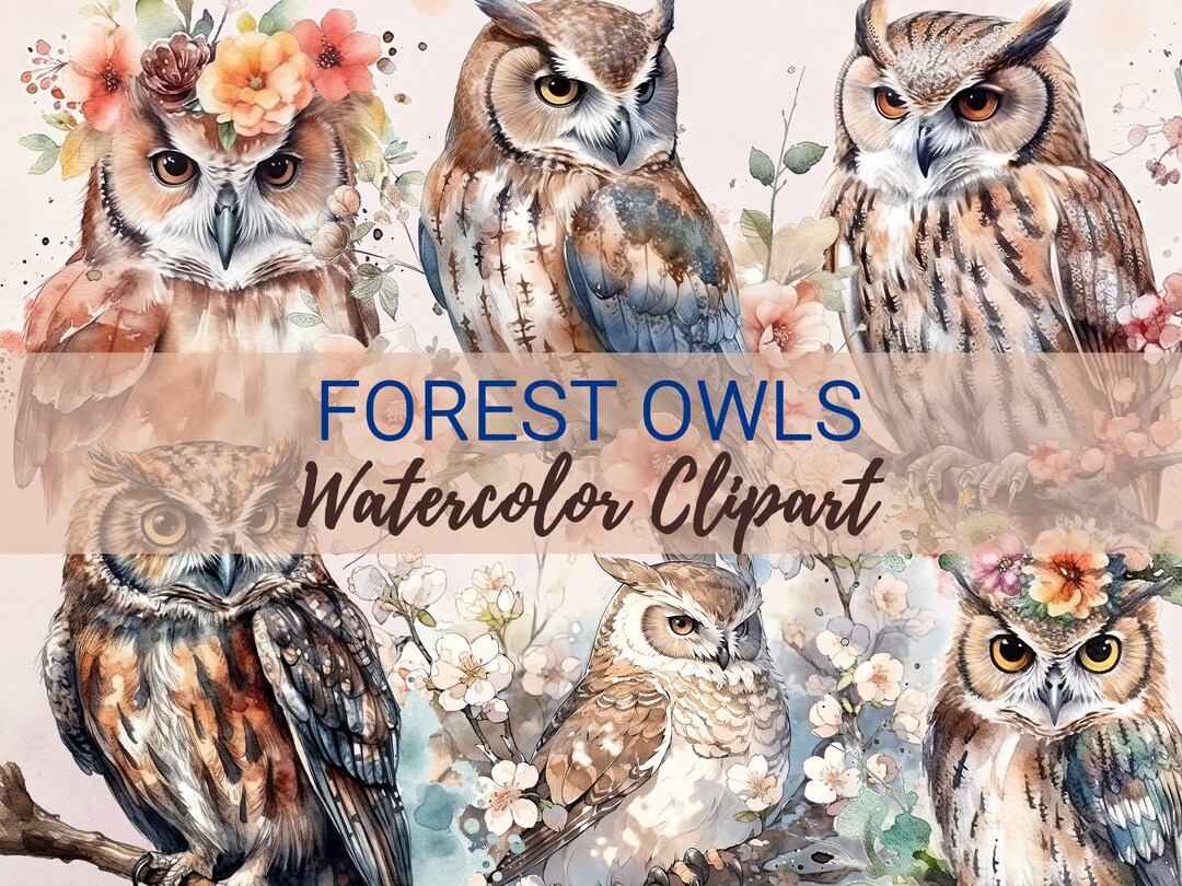 20 Watercolor Owls Clipart, Floral Owls Clip Art, Mystical Owl Png ...