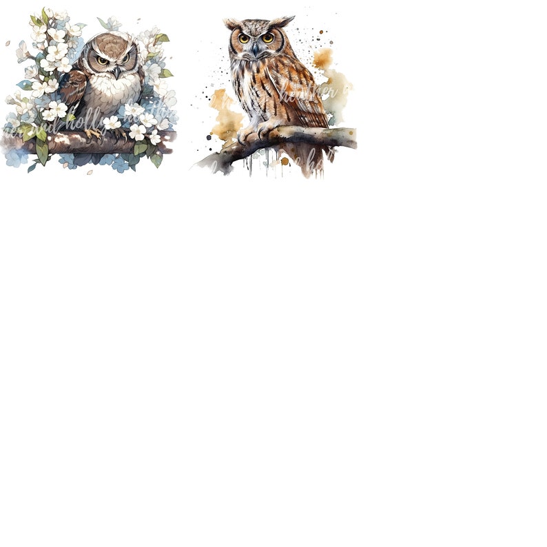 20 Watercolor Owls Clipart Floral Owls Clip Art Mystical Owl - Etsy
