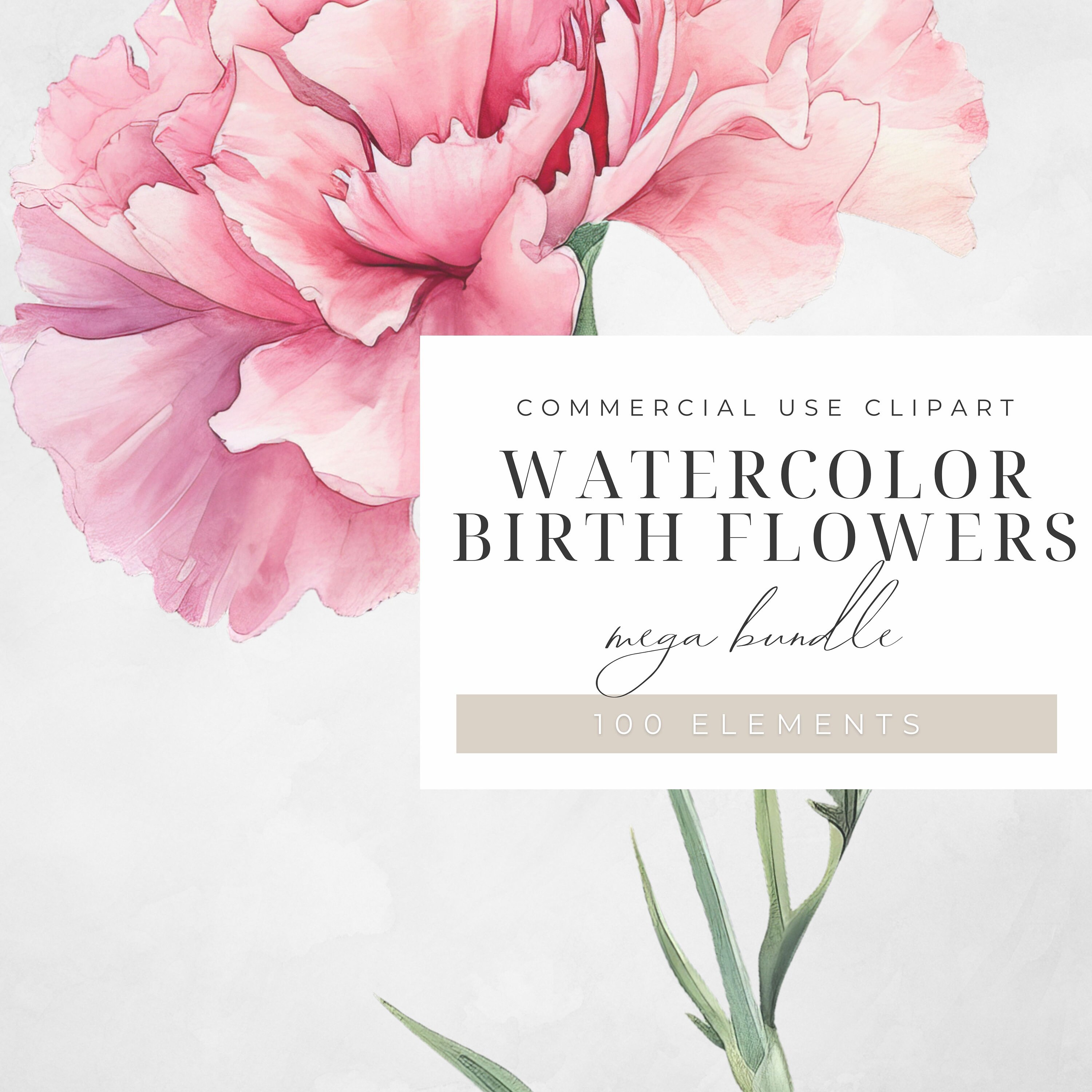 Birth Month Flower Clipart, Watercolor Floral PNG Bundle, DIY Birth ...