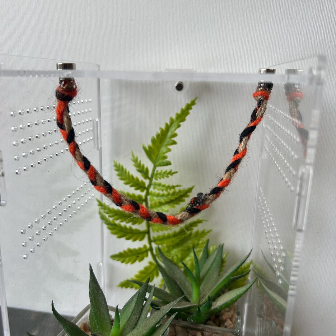 Hanging Jumping Spider Mantis Braided Rope Magnetic Decoration for ...