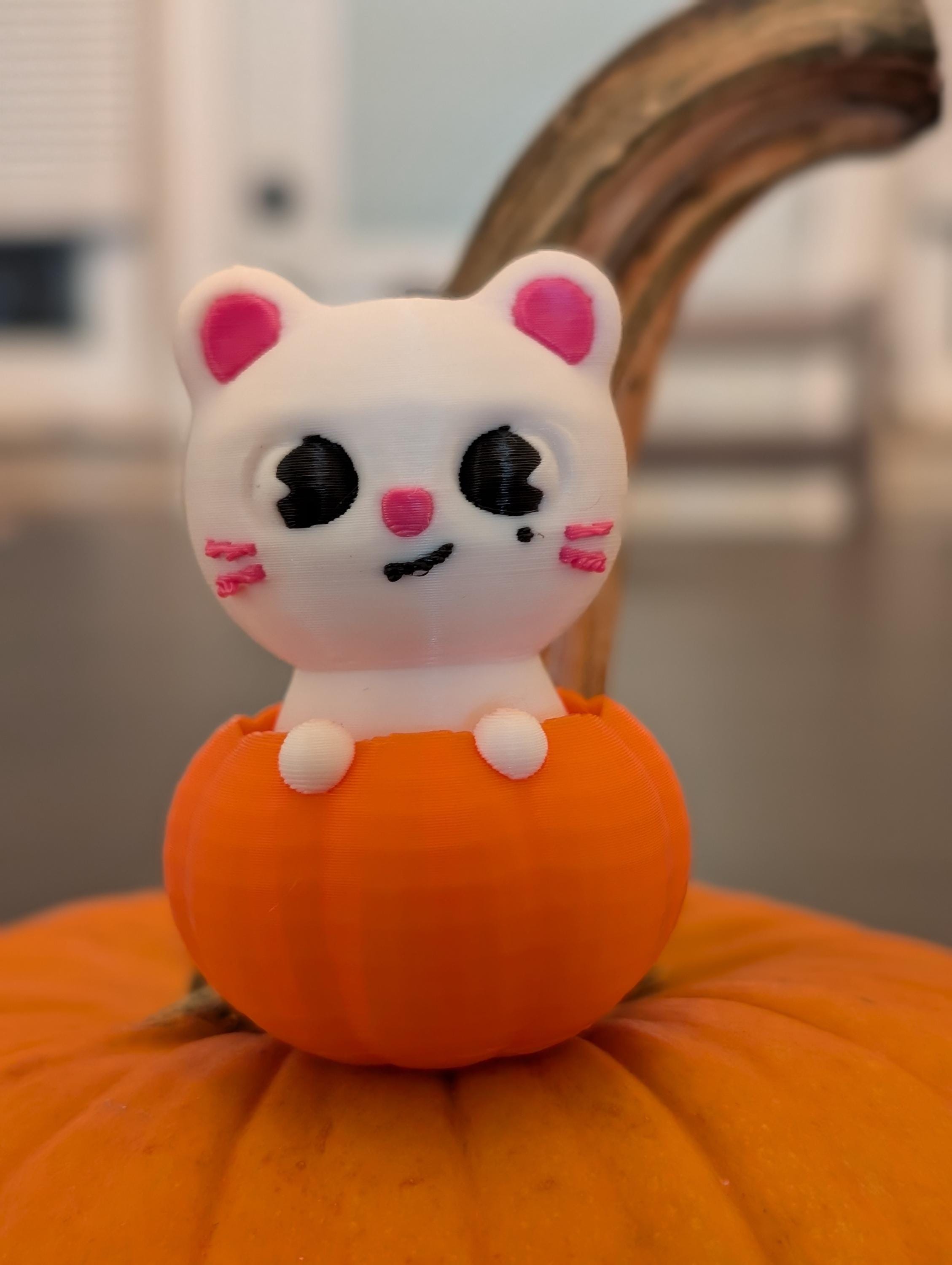 SKZOO Pumpkin | Halloween Jack-o'-lantern Fidget Clickers - Etsy