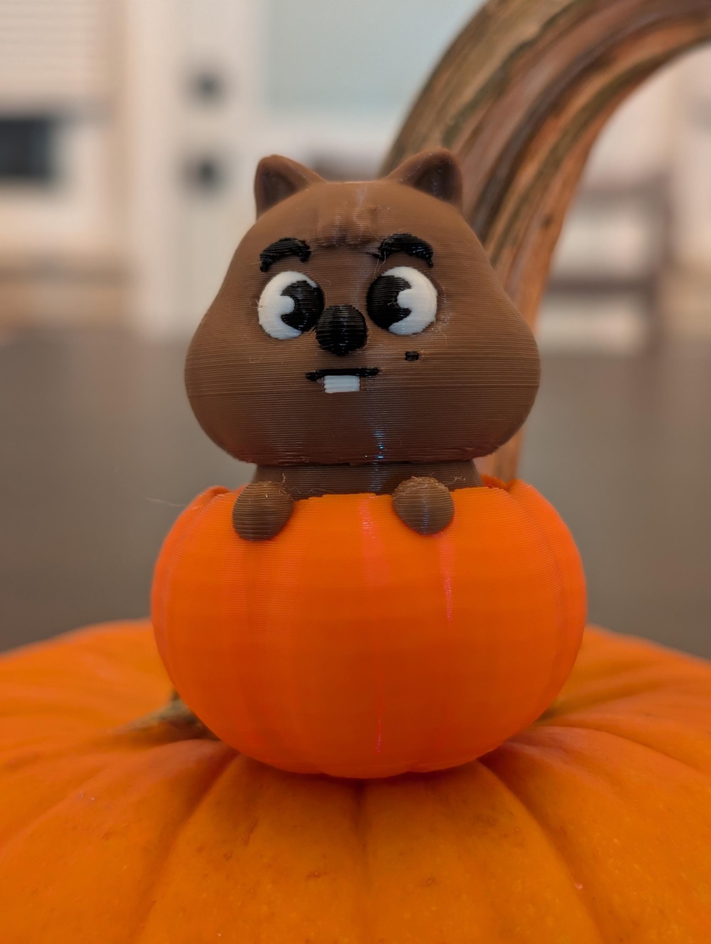 SKZOO Pumpkin | Halloween Jack-o'-lantern Fidget Clickers - Etsy