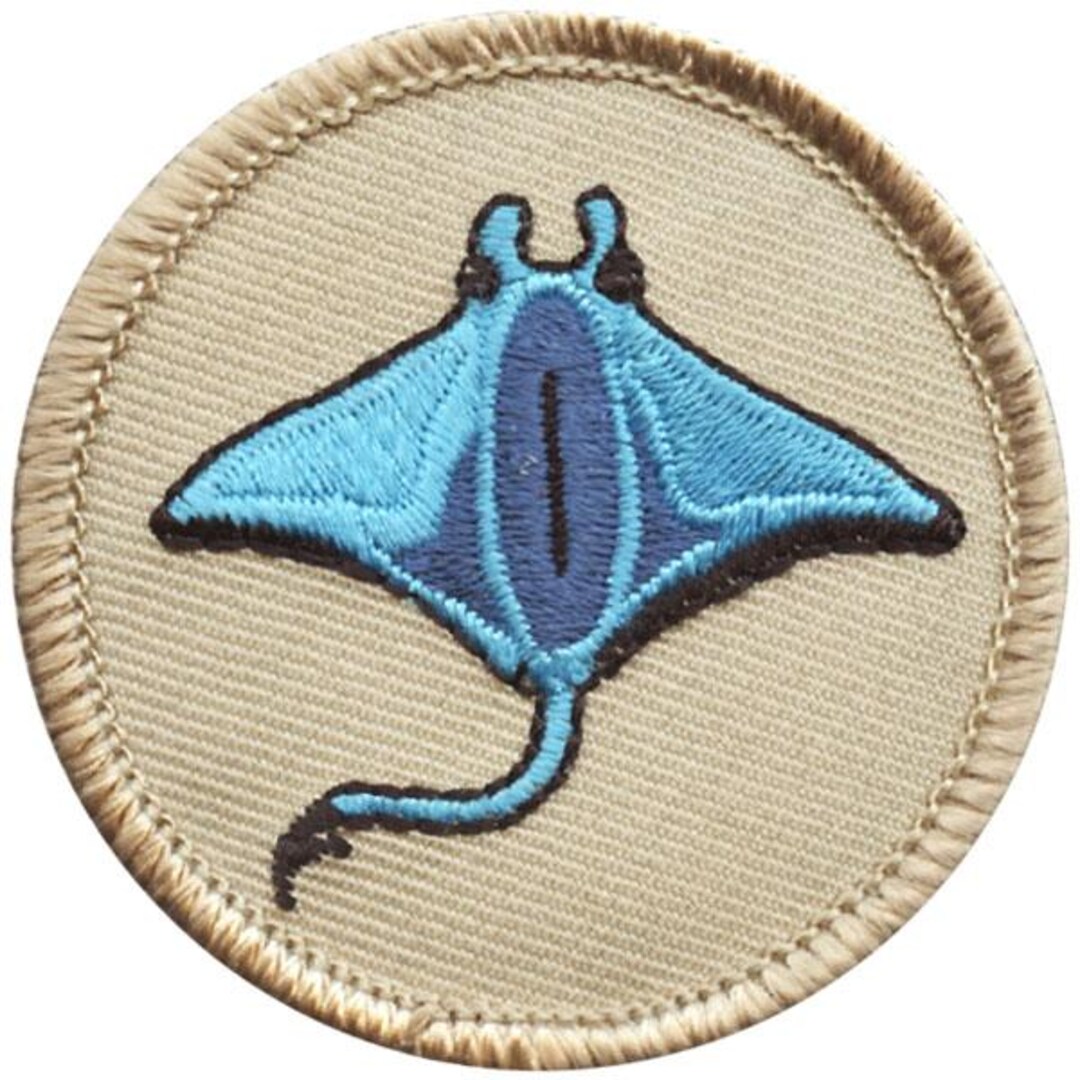 Sting Ray Patrol BSA Boy Scouts of America Embroidered Iron on Patch 41 ...