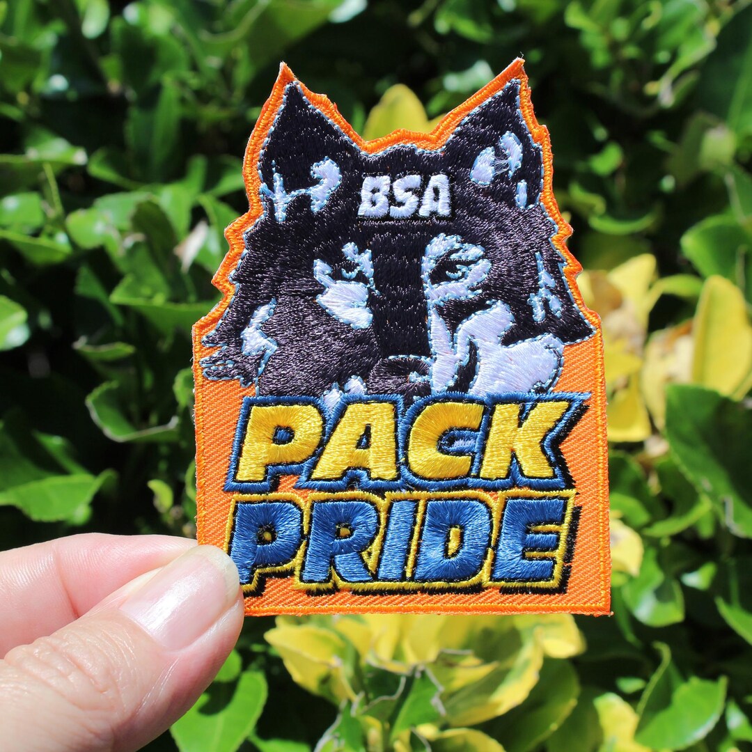 Pack Pride BSA Boy Scout Officially Licensed Embroidered Patch - Activity 39-B - Etsy