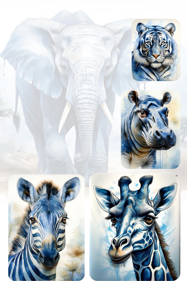 16 African Animal Clipart, Elephant, Zebra, Hippo, Tiger Images ...