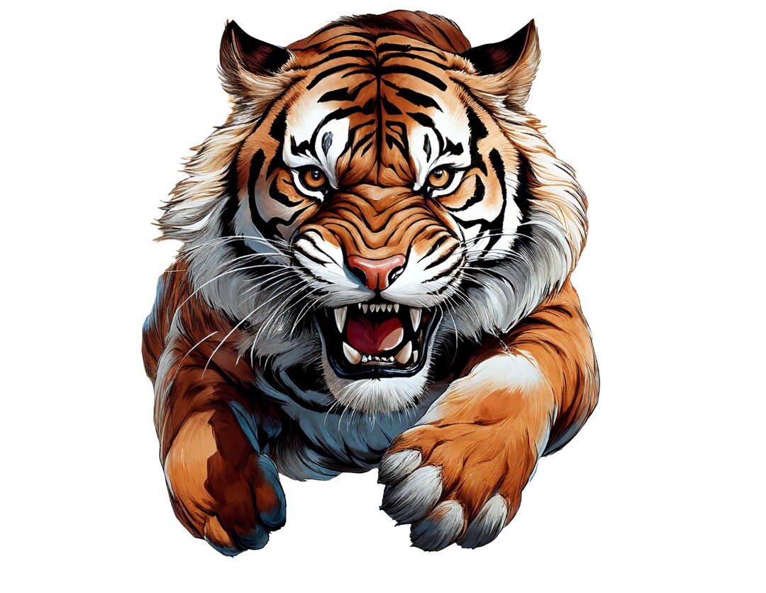 Tiger Clipart: 16 Transparent Digital Images (300dpi, 4000px) (digital ...
