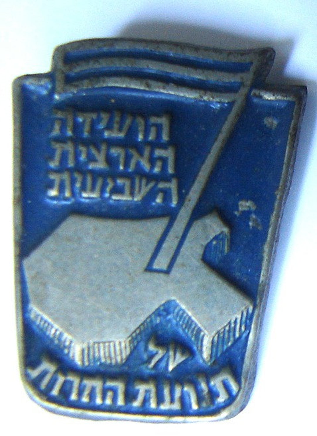 1960s ISRAEL JUDAICA HERUT Movement 7th National Conference Badge Pin ...