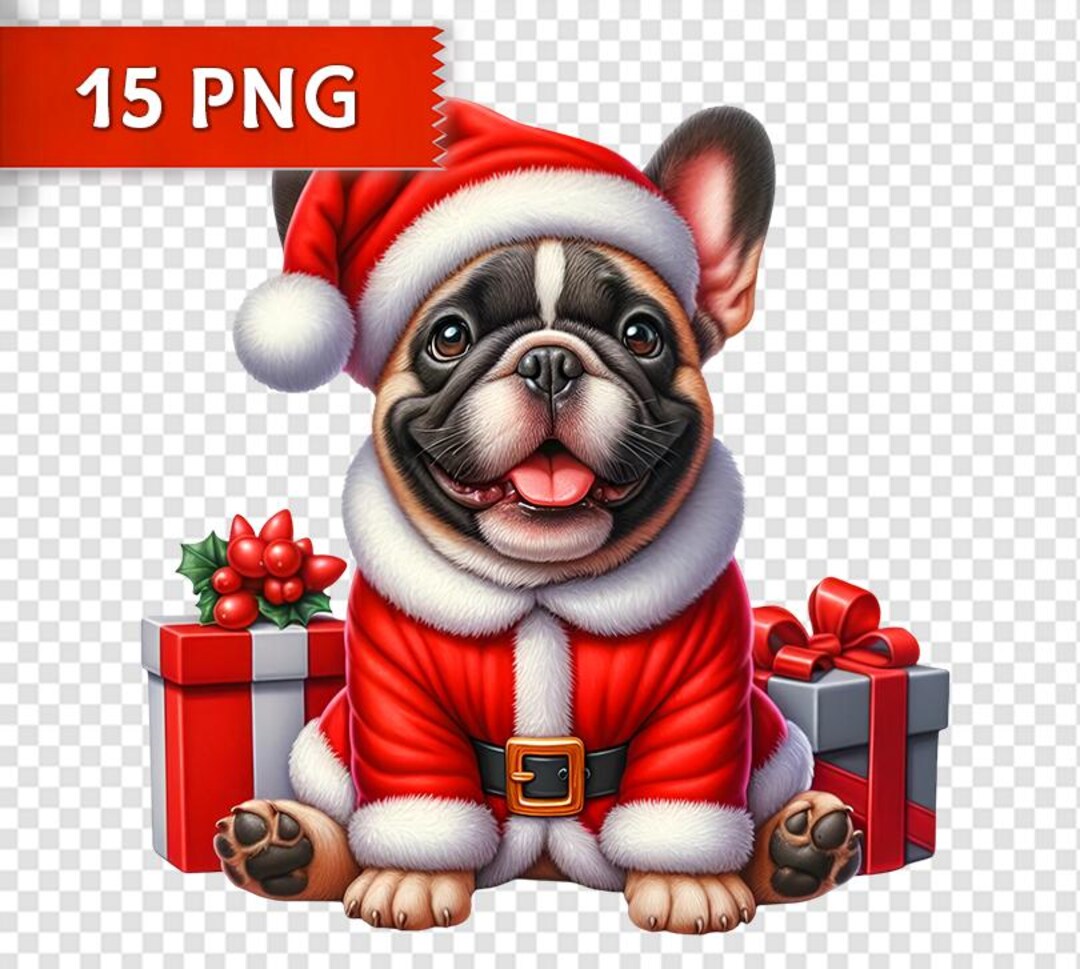 Christmas French Bulldog Clipart: 15 Santa Dog Pngs (digital Download ...