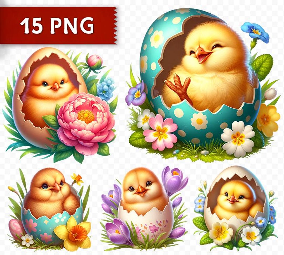 Easter Chick Clipart Bundle - 15 PNG Spring Floral Baby Chicks in Eggs ...