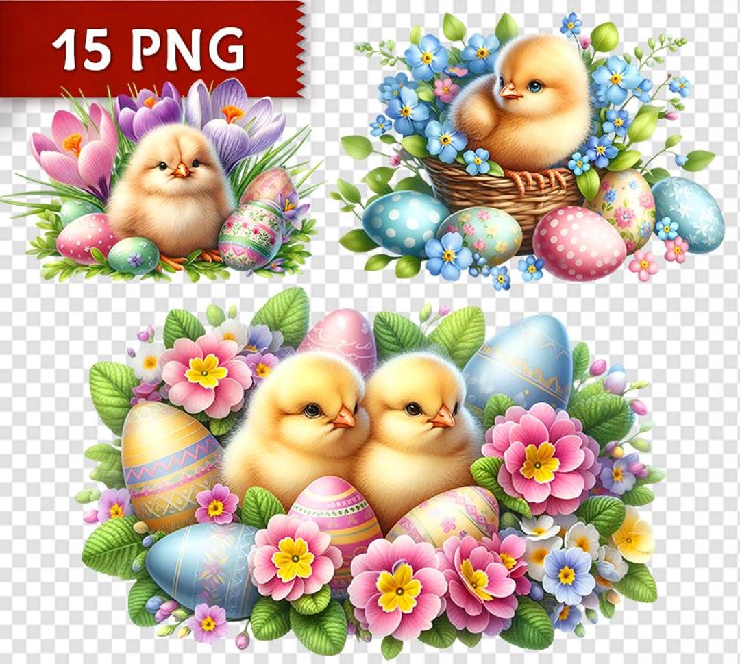 Easter Chicks Clipart Bundle - 15 PNG, Spring Baby Chickens, Easter ...