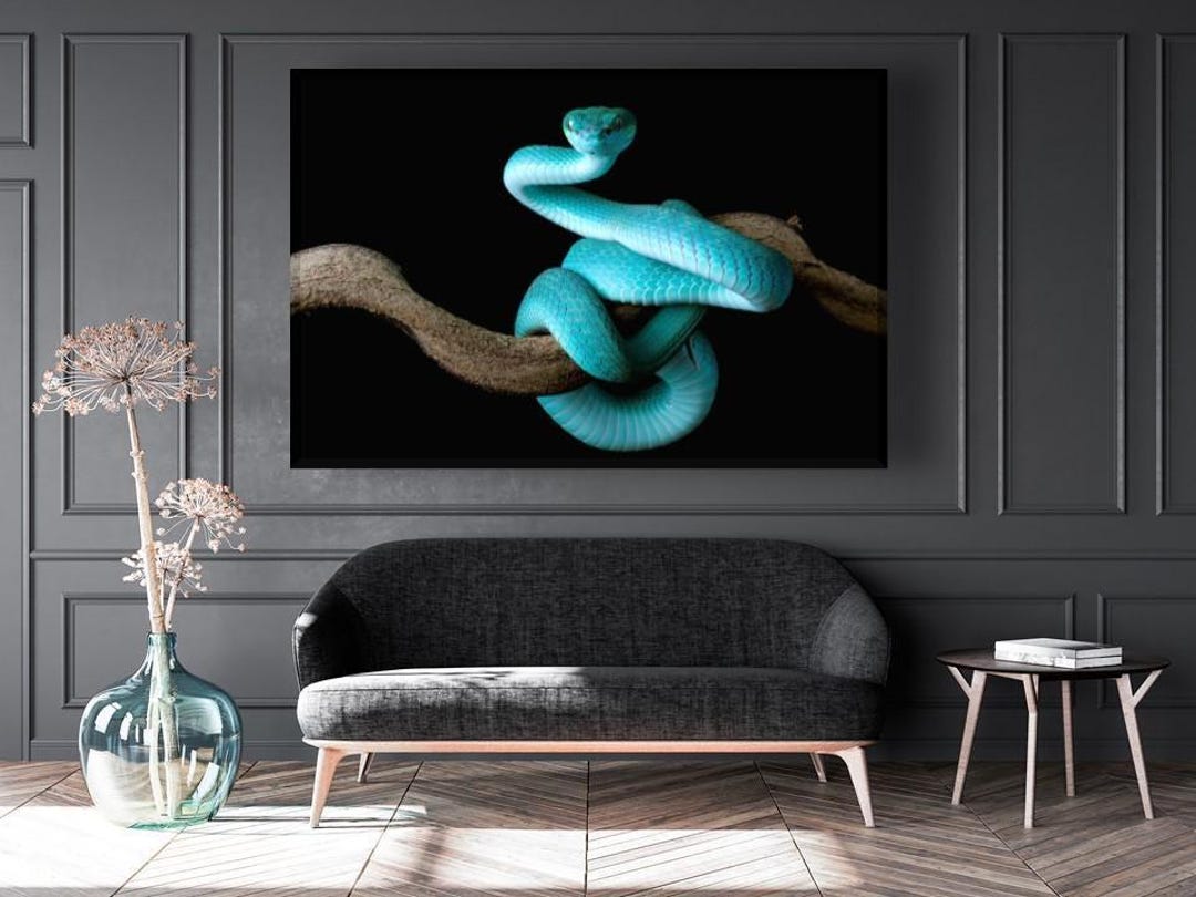 Blue Snake Canvas Print: Modern Exotic Reptile Wall Art - Etsy