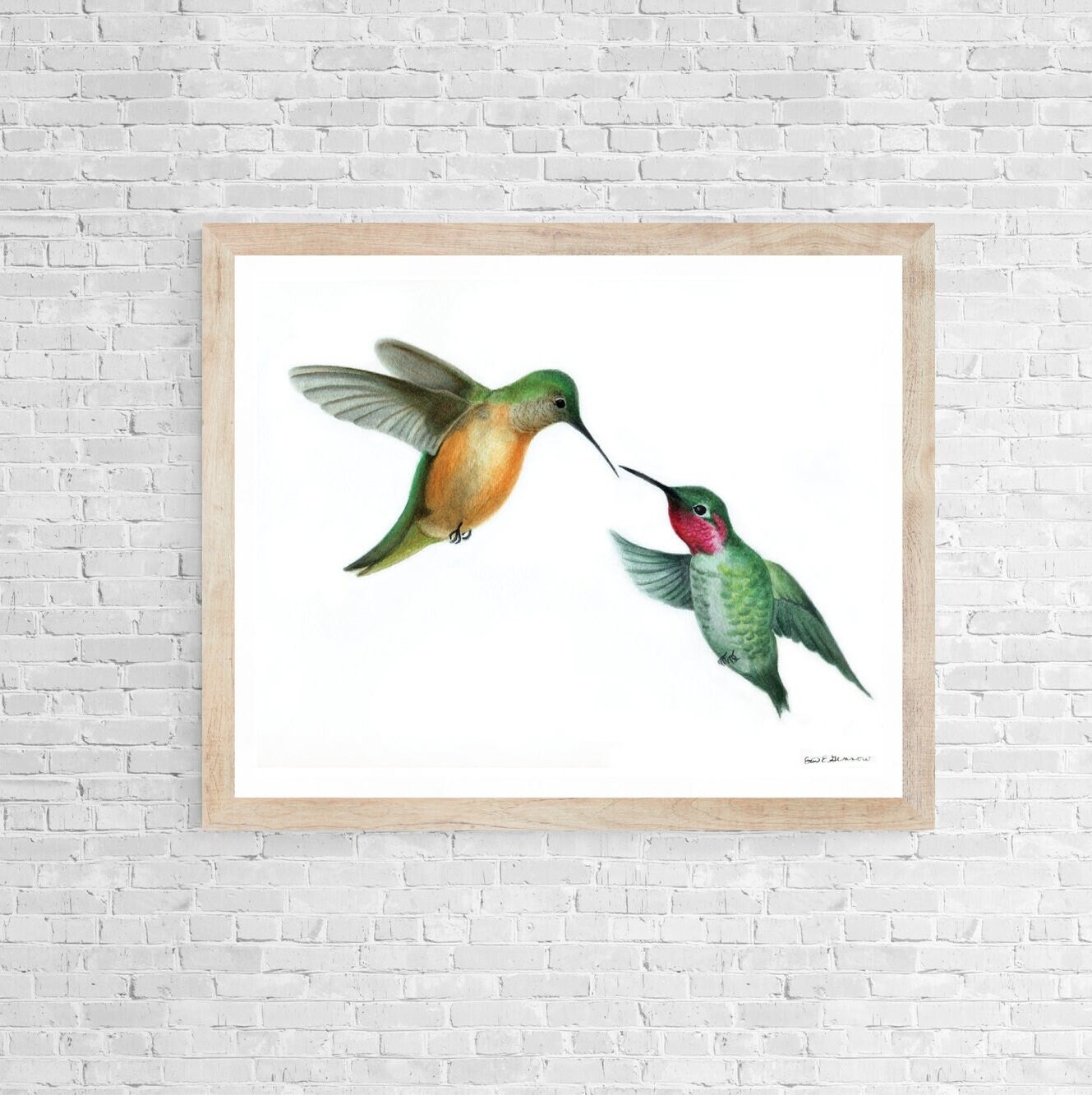 Hummingbird Fine Art Print the Hummingbird Series Hummingbirds Together ...