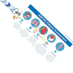 ABCDE Patient Assessment ID Insert Badge Buddy | PDF Download - Etsy