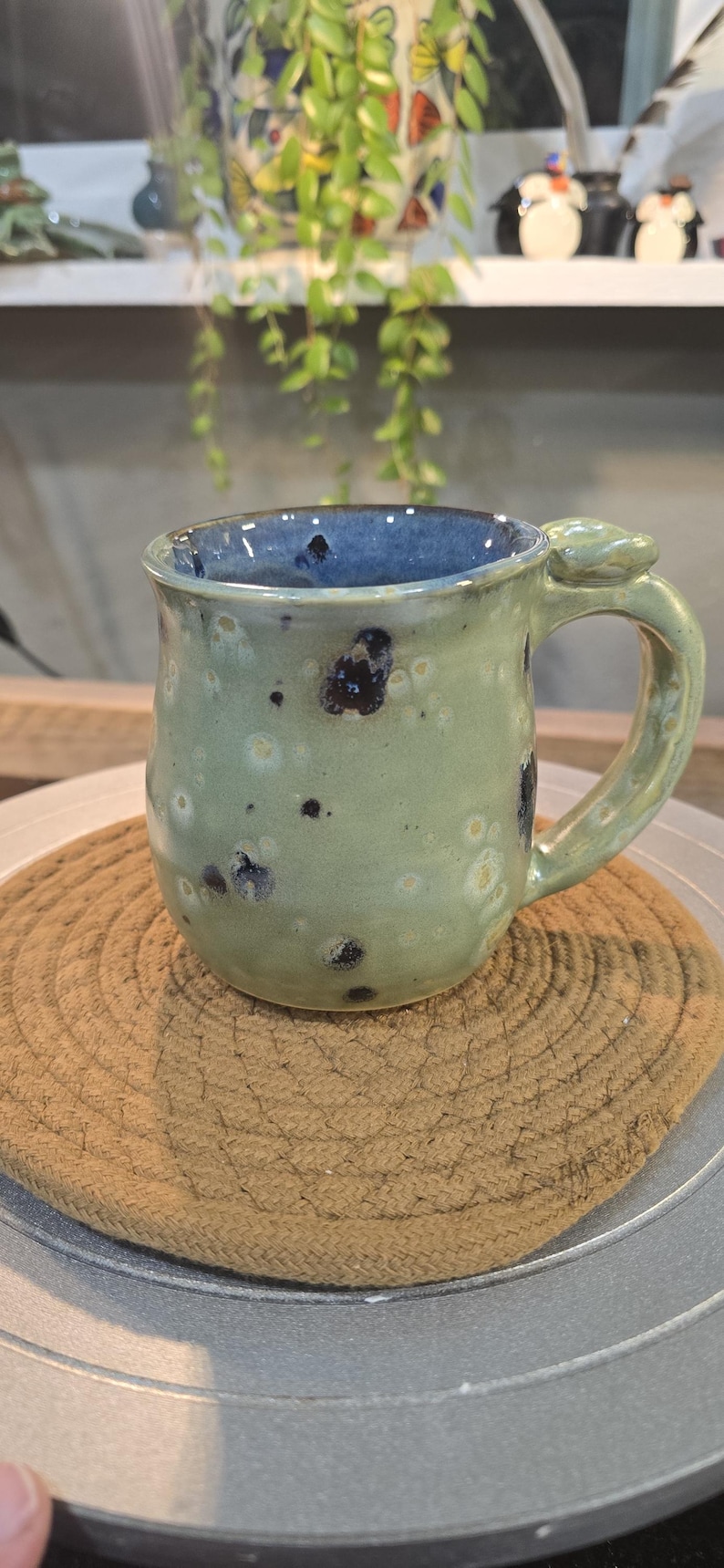 Anhinga (snake Bird) Florida Themed Ceramic Handmade Mug With Thumb ...