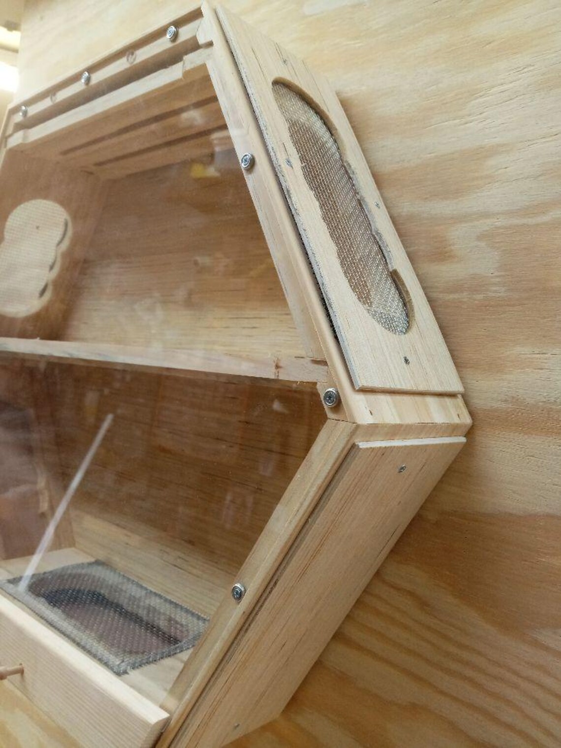Hexagon Bee Hive - Etsy