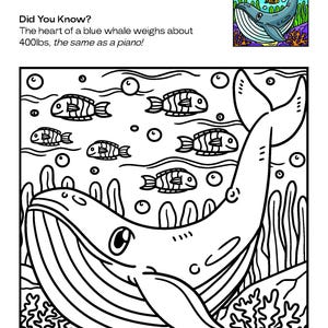 Underwater Adventures - Learn & Colour - Etsy
