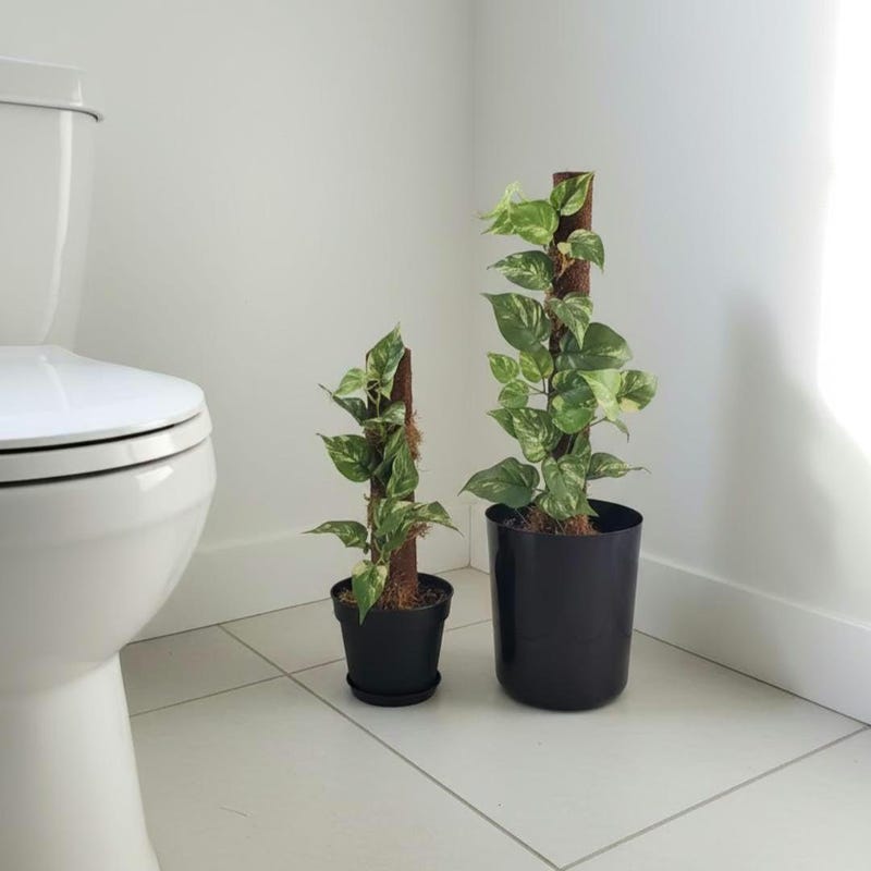 Fichier De Potter Home Plunger - Etsy Canada