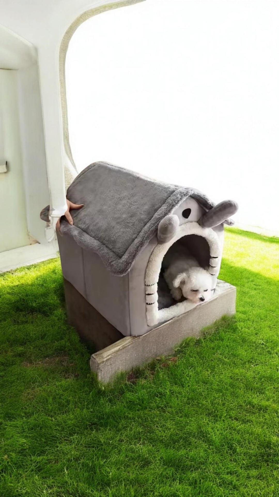Royal Plush Pavilion for Dogs & Cats – All-season Elegant Pet House ...