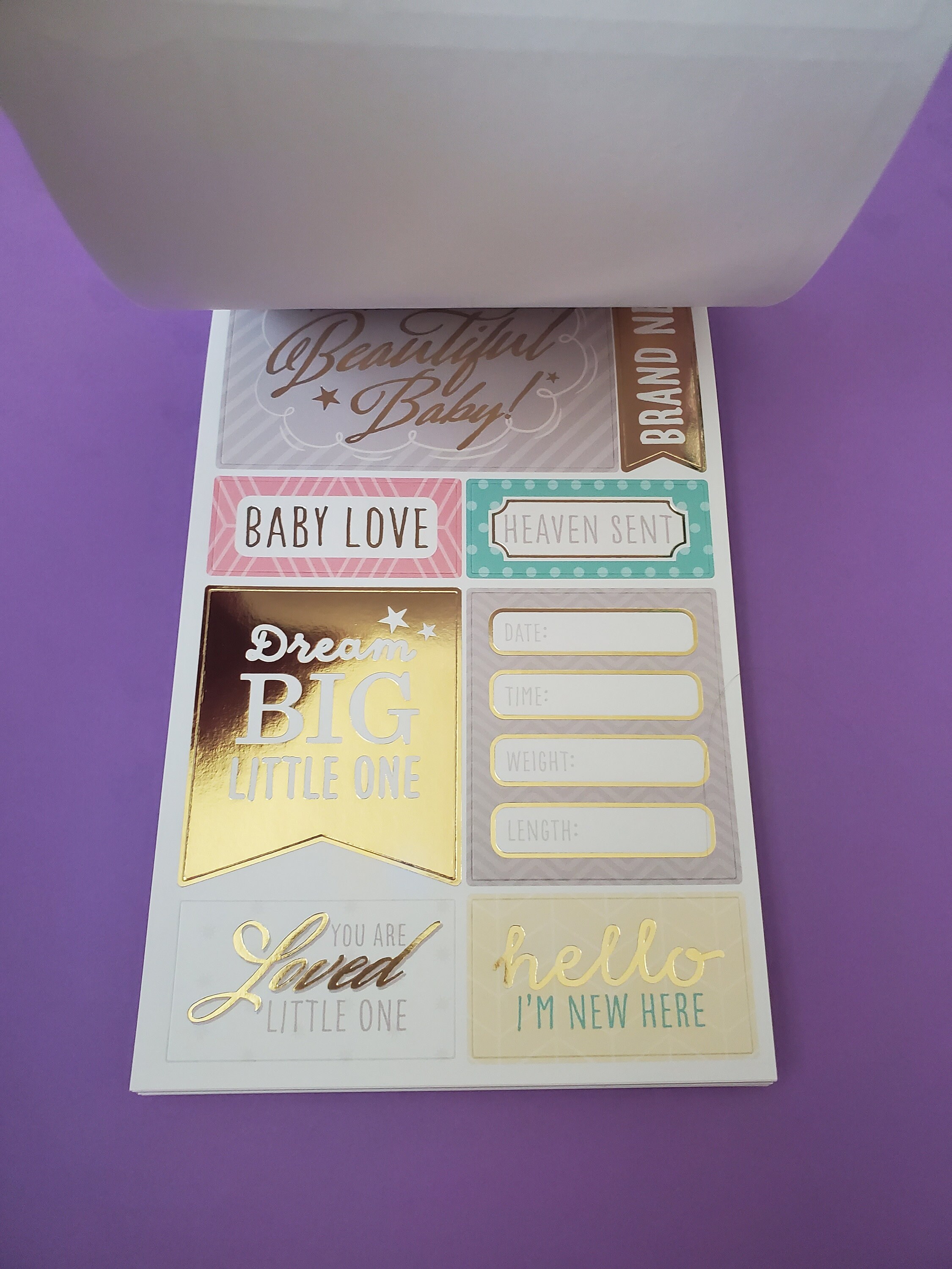 New Baby Sticker Book, 731 Stickers! - Etsy