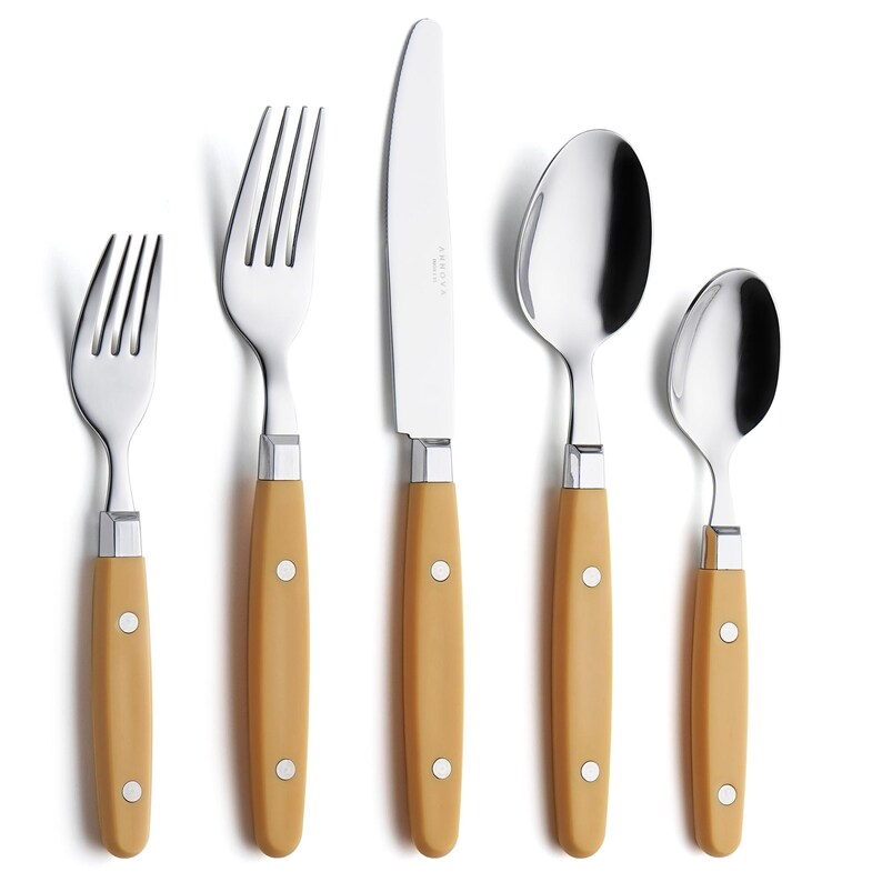 ANNOVA Silverware Set 20 Pieces Stainless Steel Color Handle With Rivet ...