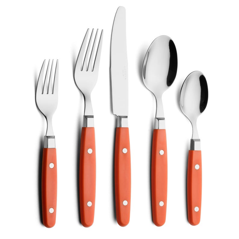 ANNOVA Silverware Set 20 Pieces Stainless Steel Color Handle With Rivet ...