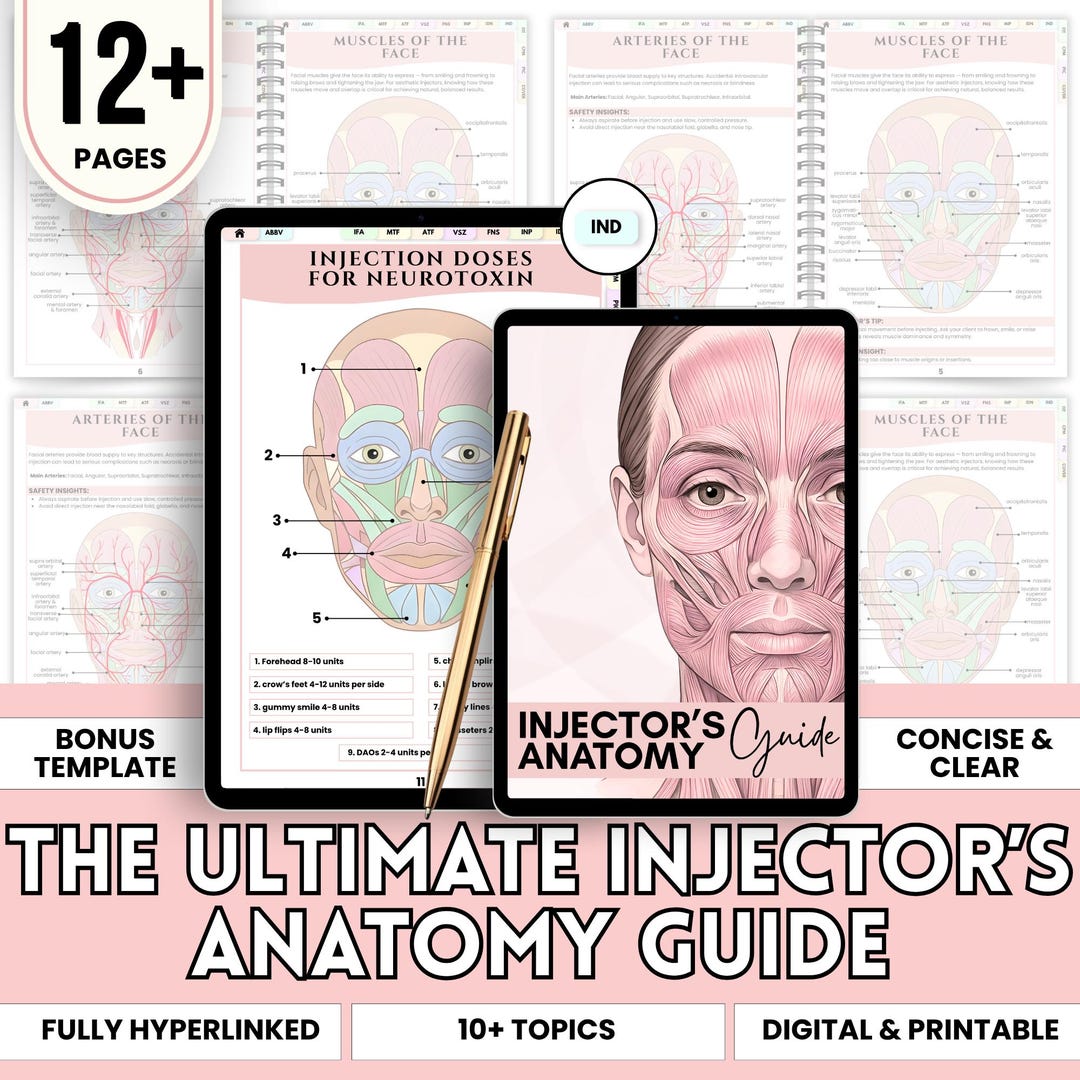 Aesthetic Nurse Injector Anatomy Guide | Facial Anatomy & Muscles Chart ...