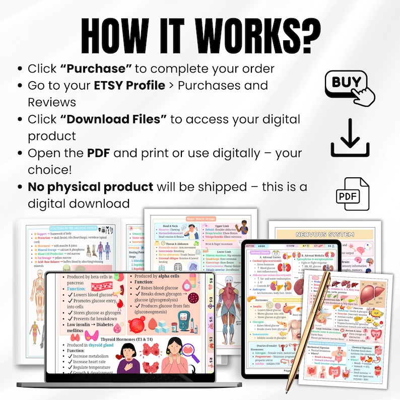 Anatomy & Physiology Cheat Sheet PDF | Nursing AP Study Guide | Medical ...