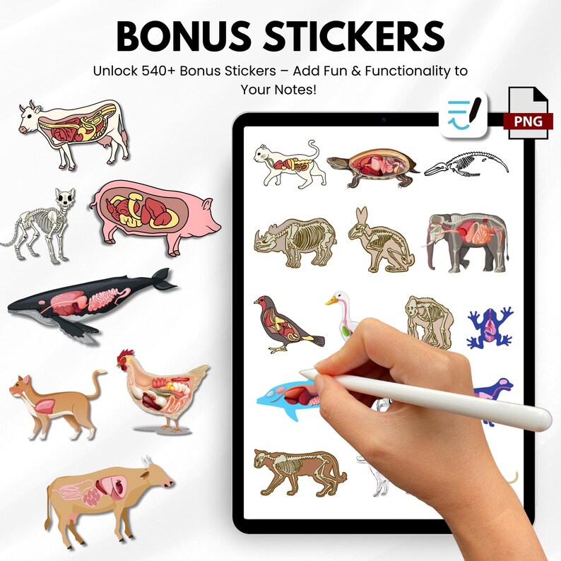 Veterinary Anatomy Study Guide PDF | Animal Body Systems Notes | Vet ...