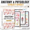 Anatomy of A Brain Flashcards | Brain Anatomy | Anatomy Notes | Nursing ...