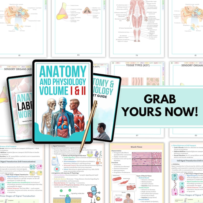 Anatomy Physiology Nursing Mega Bundle | Physical A&P Pocket Guides Vol ...