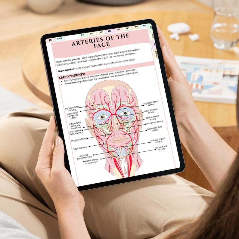 Aesthetic Nurse Injector Anatomy Guide | Facial Anatomy & Muscles Chart ...