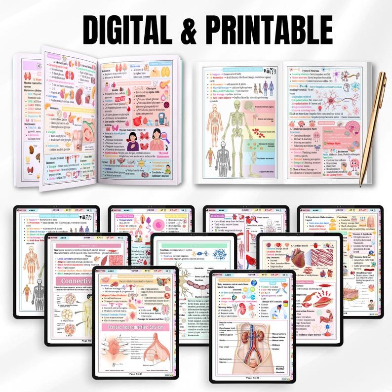 Anatomy & Physiology Cheat Sheet PDF | Nursing AP Study Guide | Medical ...