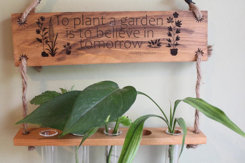 Reclaimed Wood Propagation Station, Sign for Flowers, Plants ...